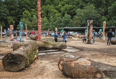 Holzbildhauersymposium „Zeitzeuge Holz“ | Eppsteiner Zeitung